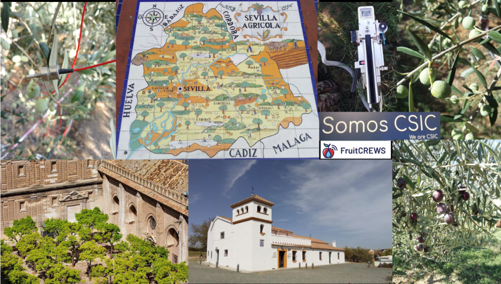 STSMs – FruitCREWS – COST ACTION CA21142